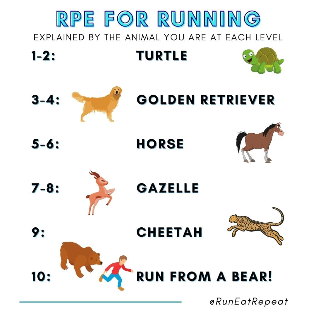 Run Faster - How to Use the RPE Chart for Runners - Run Eat Repeat