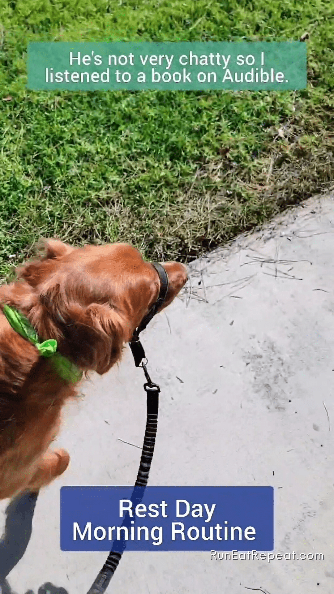 My Rest Day Morning Routine - Run Eat Repeat