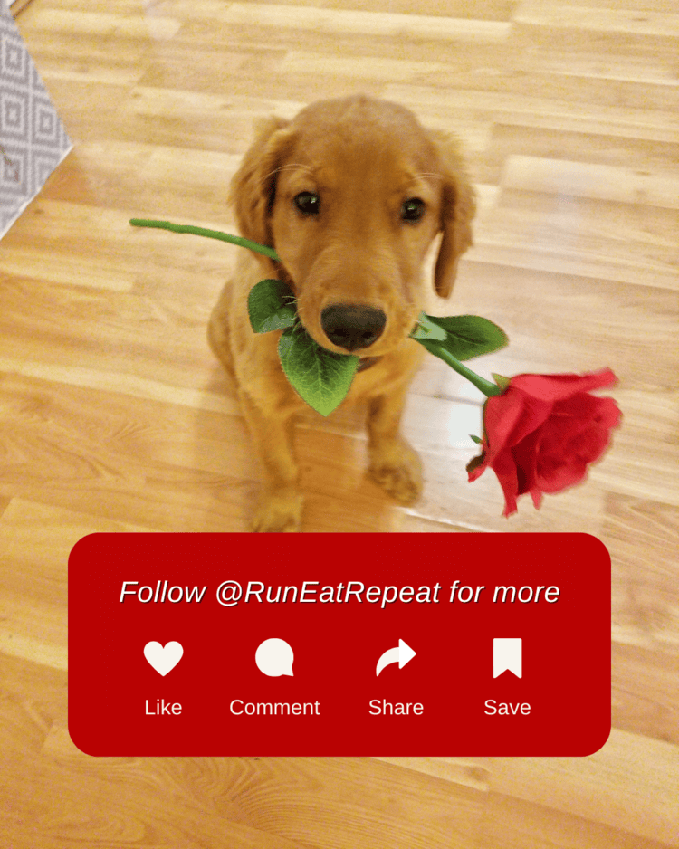 The BEST FUNNY VALENTINE'S for RUNNERS - Run Eat Repeat